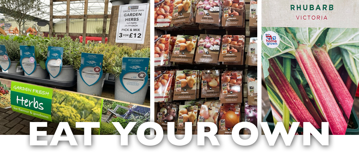 Grow Your Own – Whilton Locks Garden Village